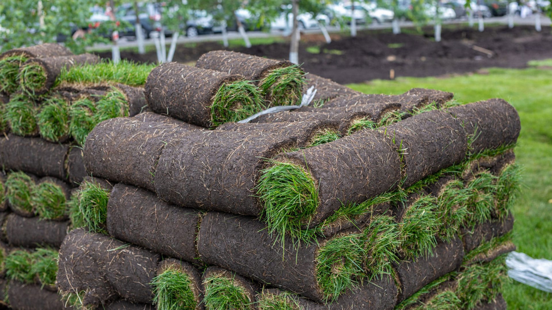 Sod Installation Services
